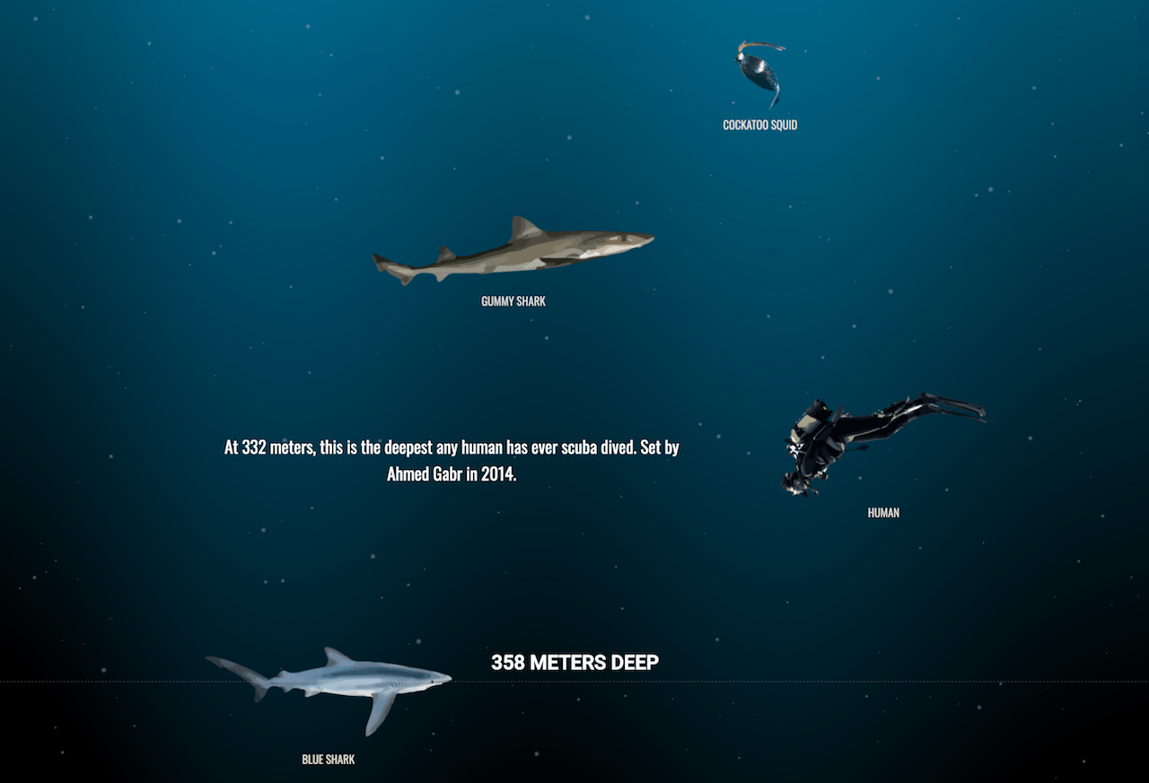 Fascinating Visual Deep Dive That Lets You Scroll Down to See What ...