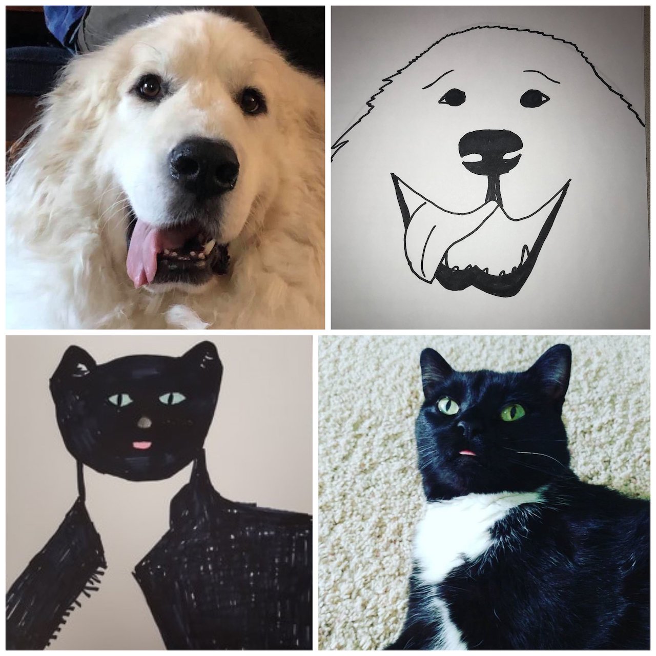 Wisconsin Human Society Staff Creates Drawings of Client's Pets to ...