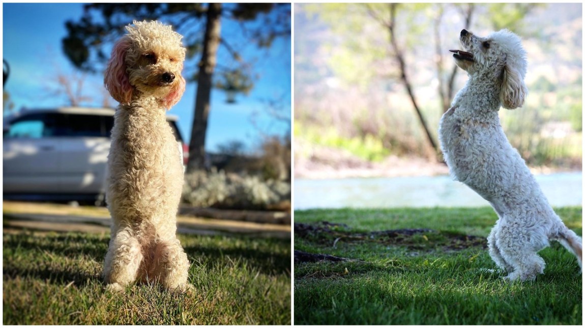 Laughing Squid - Page 278 of 6697