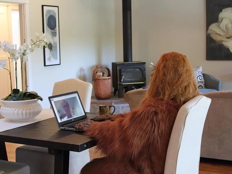 Real Estate Listing Features Photos of Bigfoot Selling His Felton ...