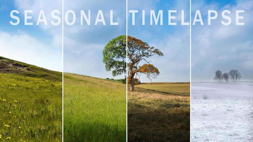 Three Years of Changing Seasons in the Jutland Peninsula Captured in a ...