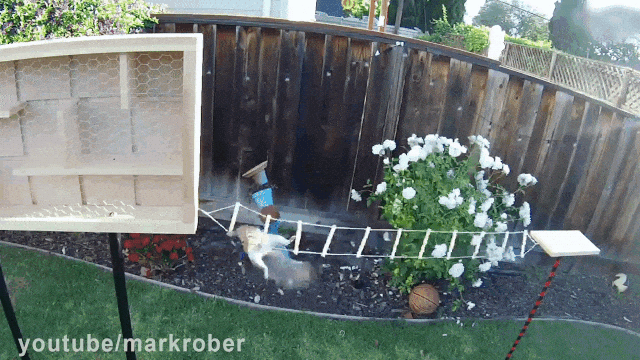 Former NASA Engineer Builds an Incredible Obstacle Course For the ...