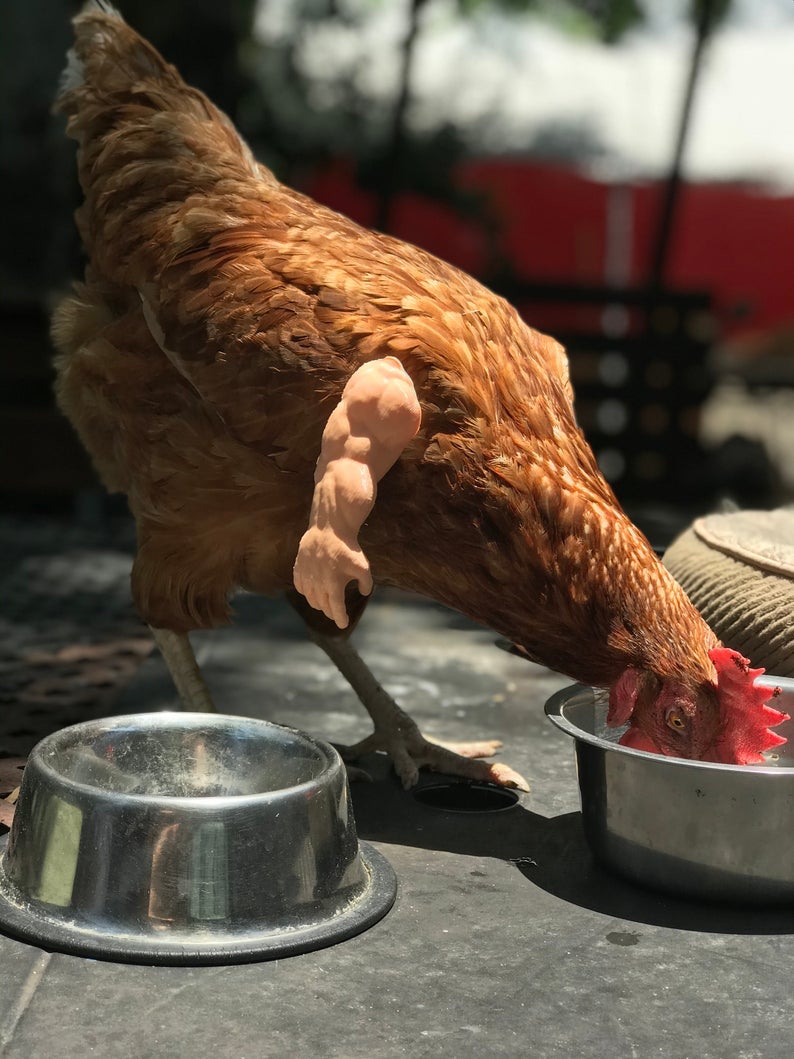 Tiny 3D Printed Baby Arms for Chickens That Bring the 'Birds With Arms ...