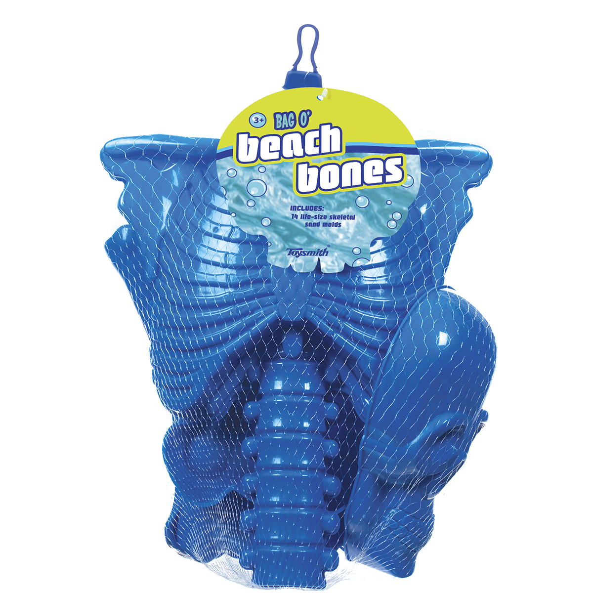 A Life-Sized Human Skeleton Sand Mold Kit