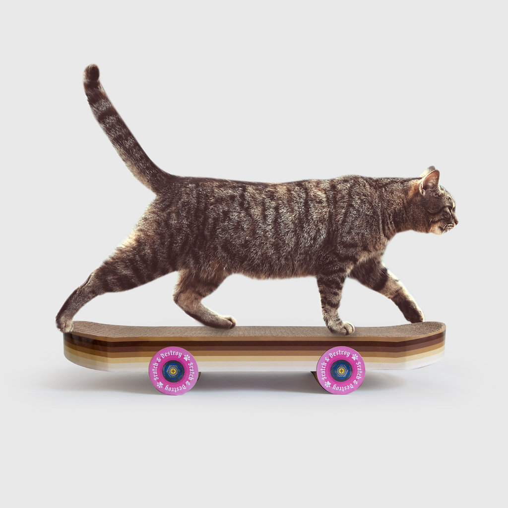 A Gnarly Skateboard Shaped Cardboard Cat Scratcher