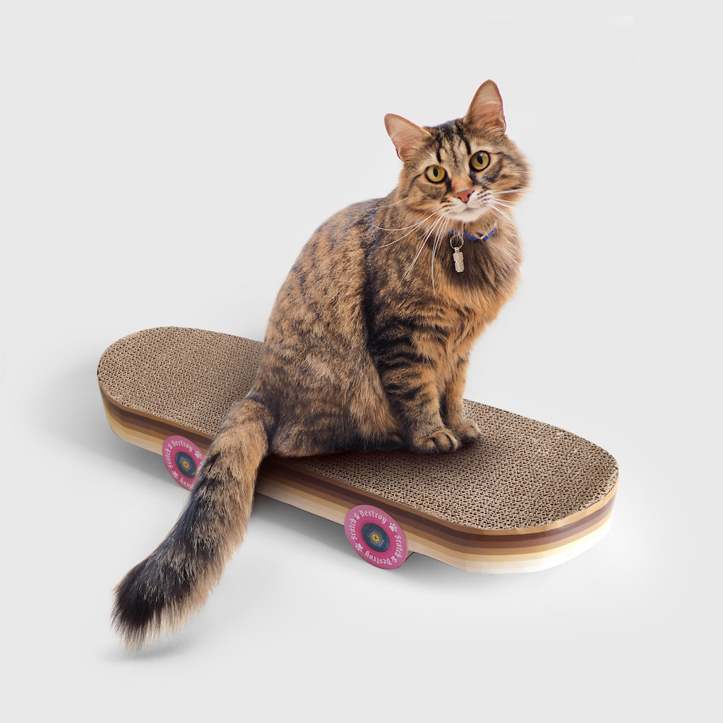 A Gnarly Skateboard Shaped Cardboard Cat Scratcher
