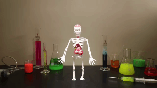 A Scientist Builds a Fully Functioning Man From the Bones Up in an ...