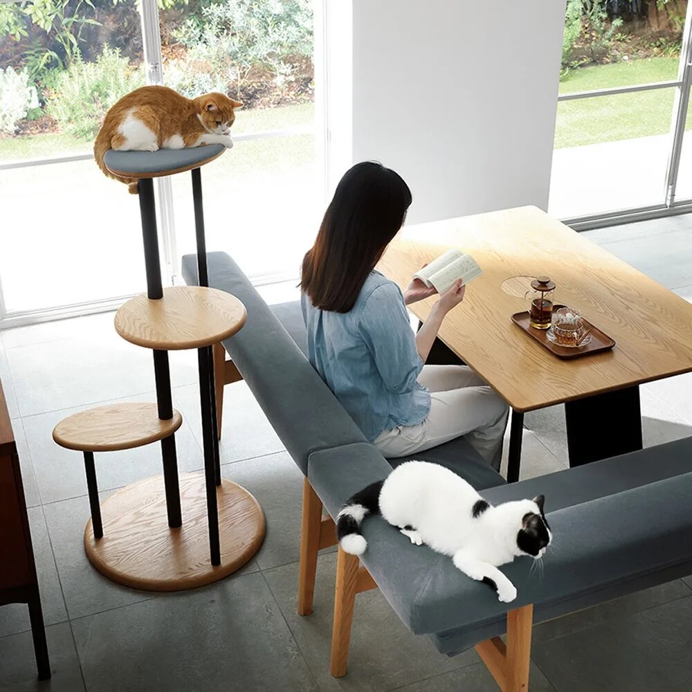 Cleverly Designed Table With a Hole in the Middle That Lets Your Cat ...