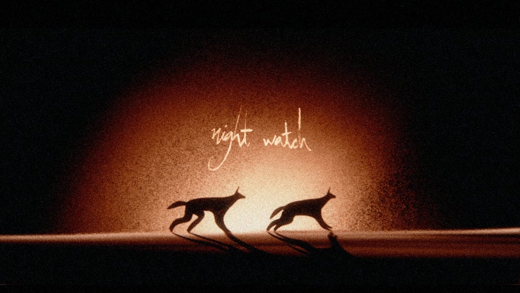 'Night Watch', An Atmospheric Animation of Animals Lit From Behind by ...
