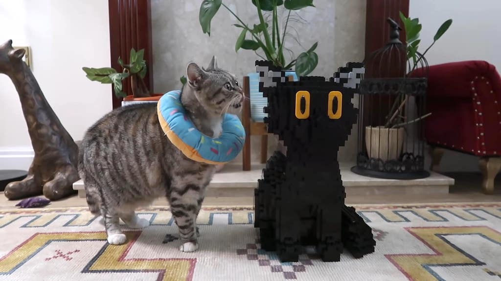 Man Turns His Cat Into a LEGO Sculpture