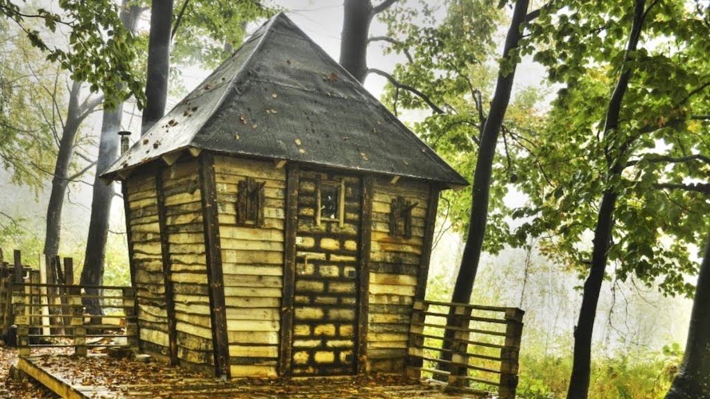 Industrious Man Builds Cozy Little House in the Woods Out of Wooden Pallets