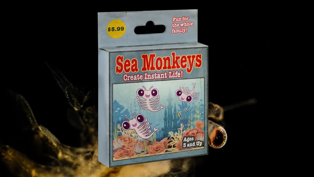 The Dark History Behind the Infamous Sea Monkeys