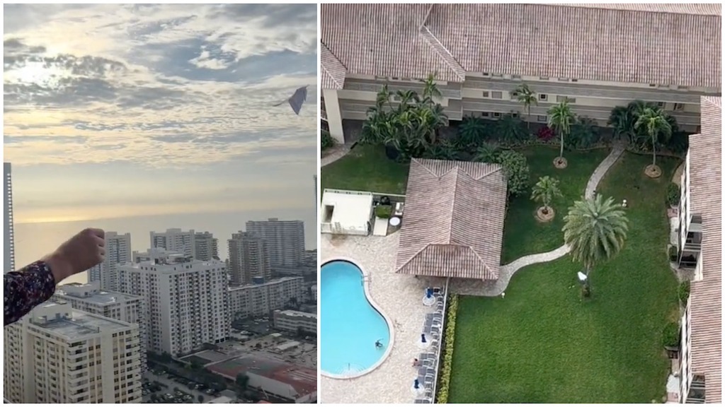 Bird Chases Paper Airplane Thrown From the Terrace of a 33rd Floor ...