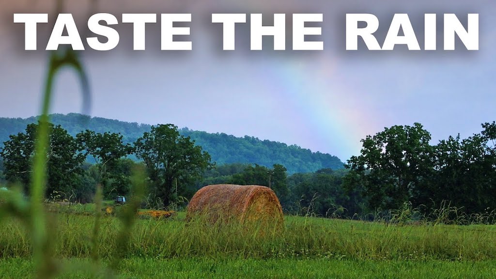 Why Rain Smells So Good But Tastes Really Bad