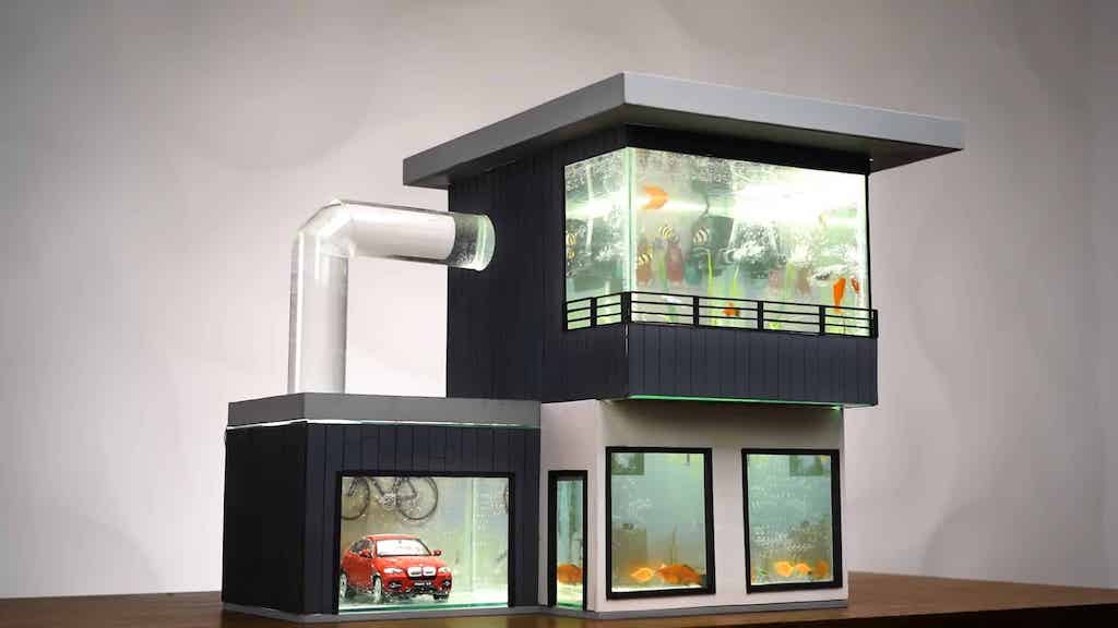 Phone Booths Converted into Outdoor Fish Aquariums