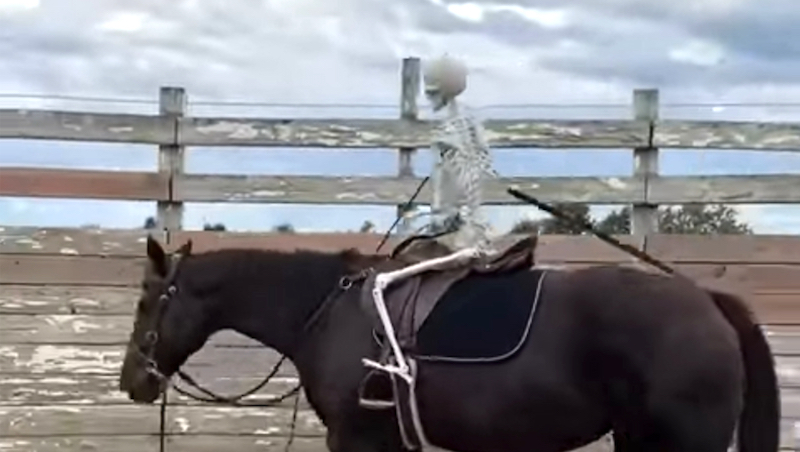 Trainer Uses Fake Skeleton to Get Horse Used to Riders