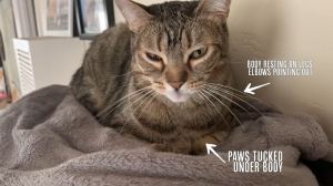 Super Emo Friends by JSalvador Design