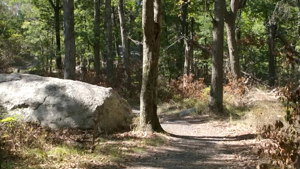 The Strategic Design of Seemingly Organic Hiking Trails