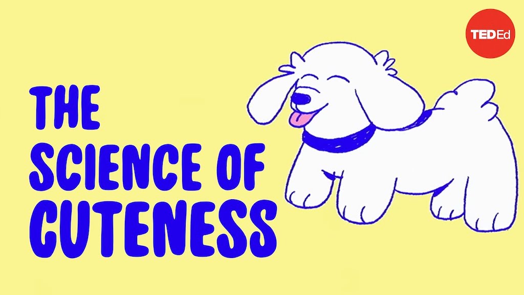 The Science Behind Overwhelming Cuteness