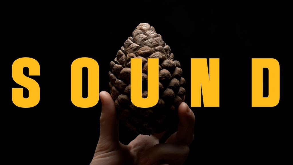 A Gorgeous Visual Soundscape of Digital Plants Fluidly Moving to a ...