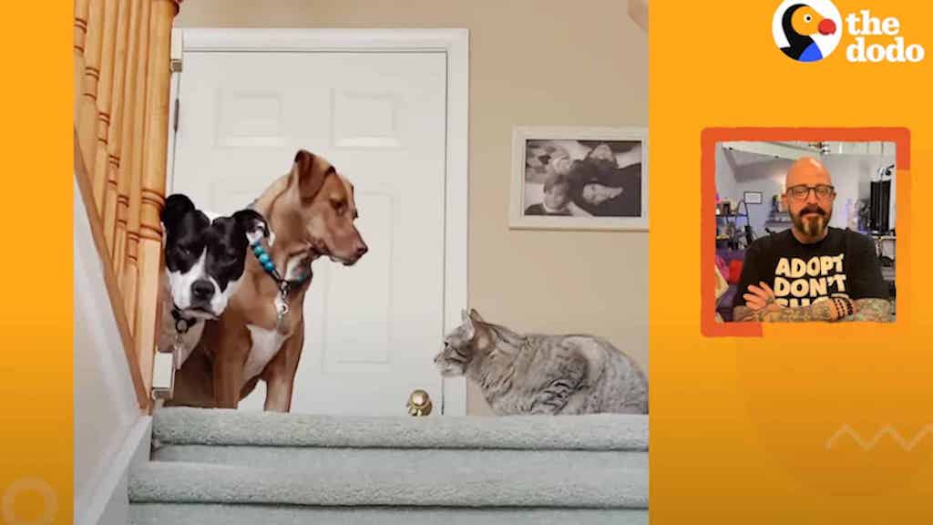 Custom Groot Tree Topper That Turns an Ordinary Christmas Tree Into the ...