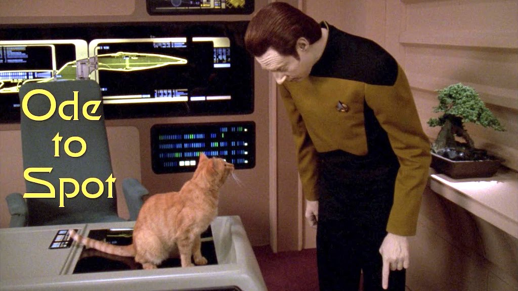 An Endearing Compilation of Data's Cat Spot on 'Star Trek: The Next ...