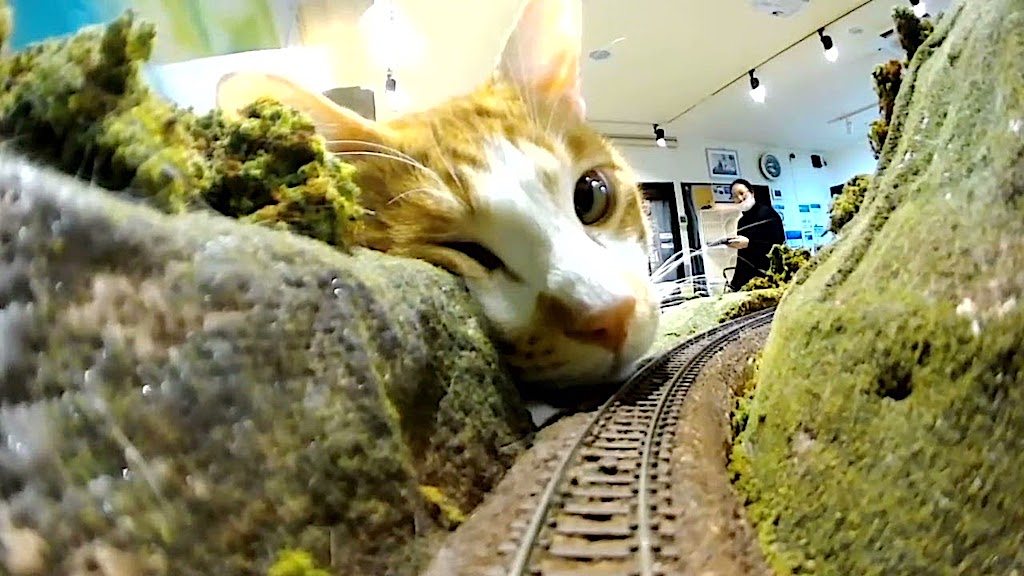 Giant Cats Lie in Wait to Attack Miniature Train