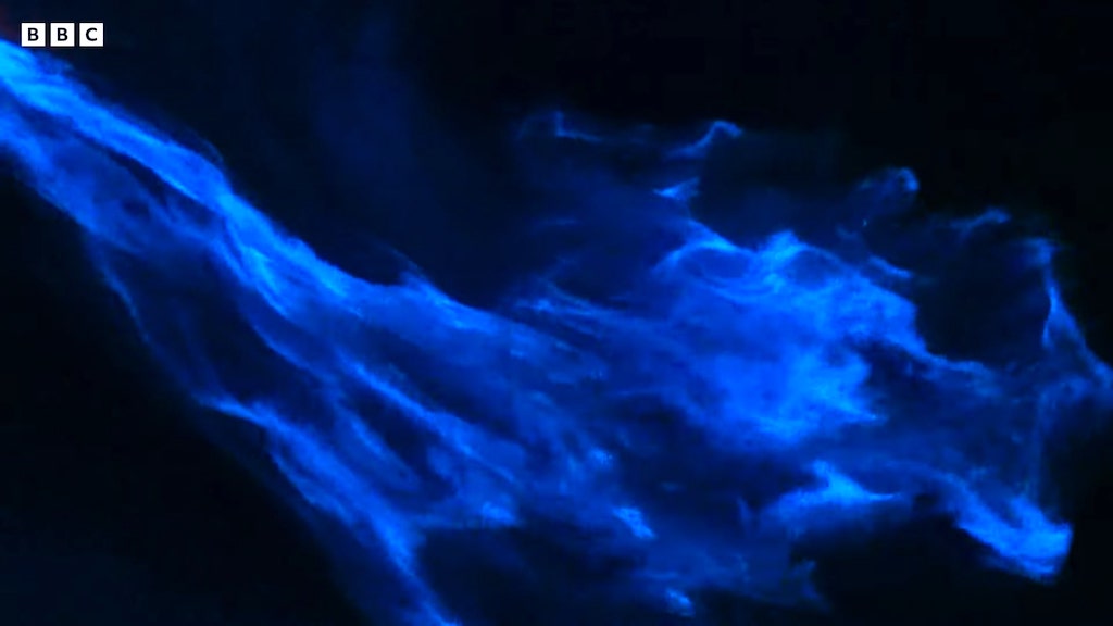 How Midnight Zone Sea Creatures Use Their Luminosity