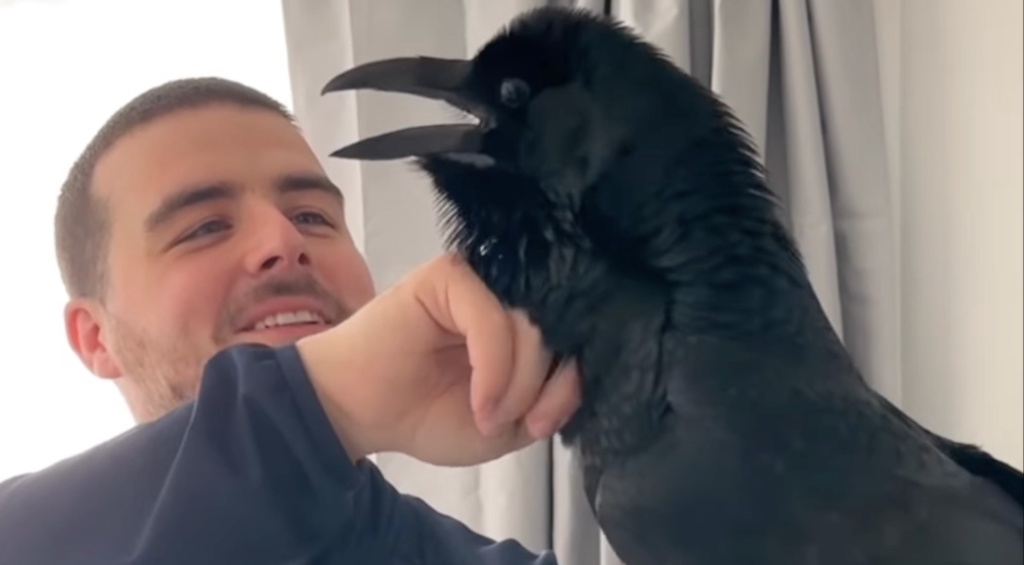 Artist Hilariously Augments Thrift Store Paintings With Sci-Fi, Fantasy ...