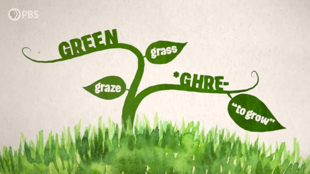 The Vibrant Origins of Words Describing Colors