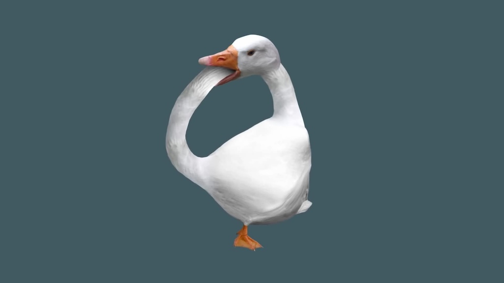 An Oddly Multiplying Goose Honks in Time to an Electronic Beat in a ...