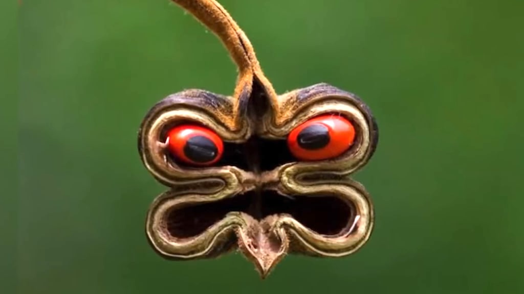 100 Amusing Examples of Seeing Faces in Things