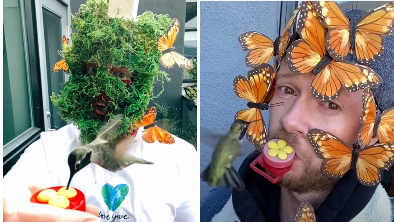 Man Creates Elaborate Hummingbird Feeder Costumes