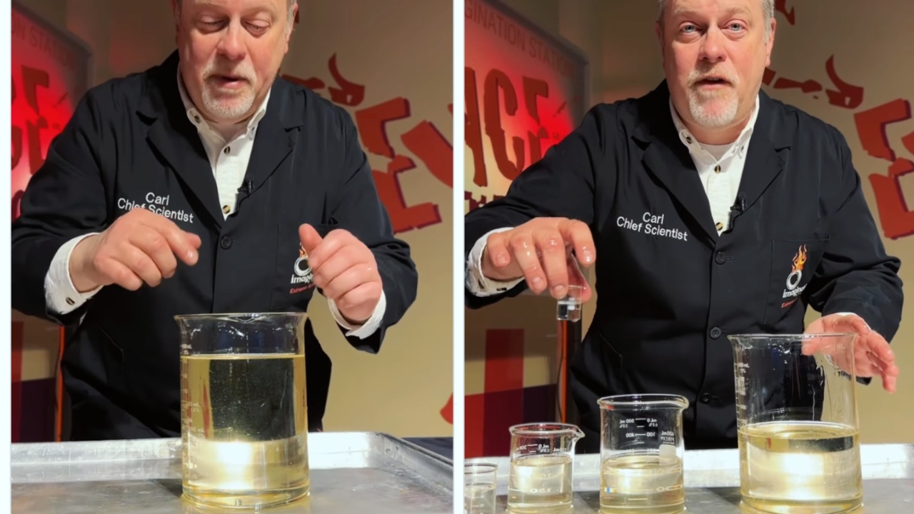 The Splendiferous Array of Culinary Tools