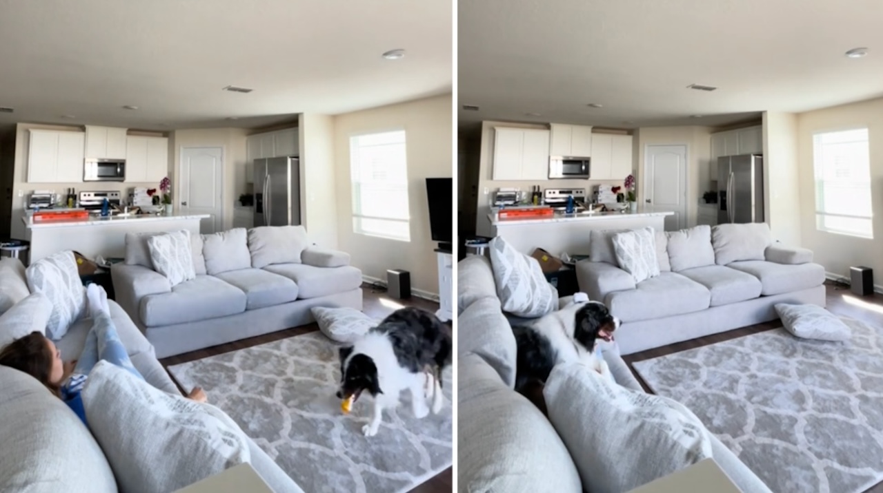 A Map Visualizing the Entire Field of Mathematics