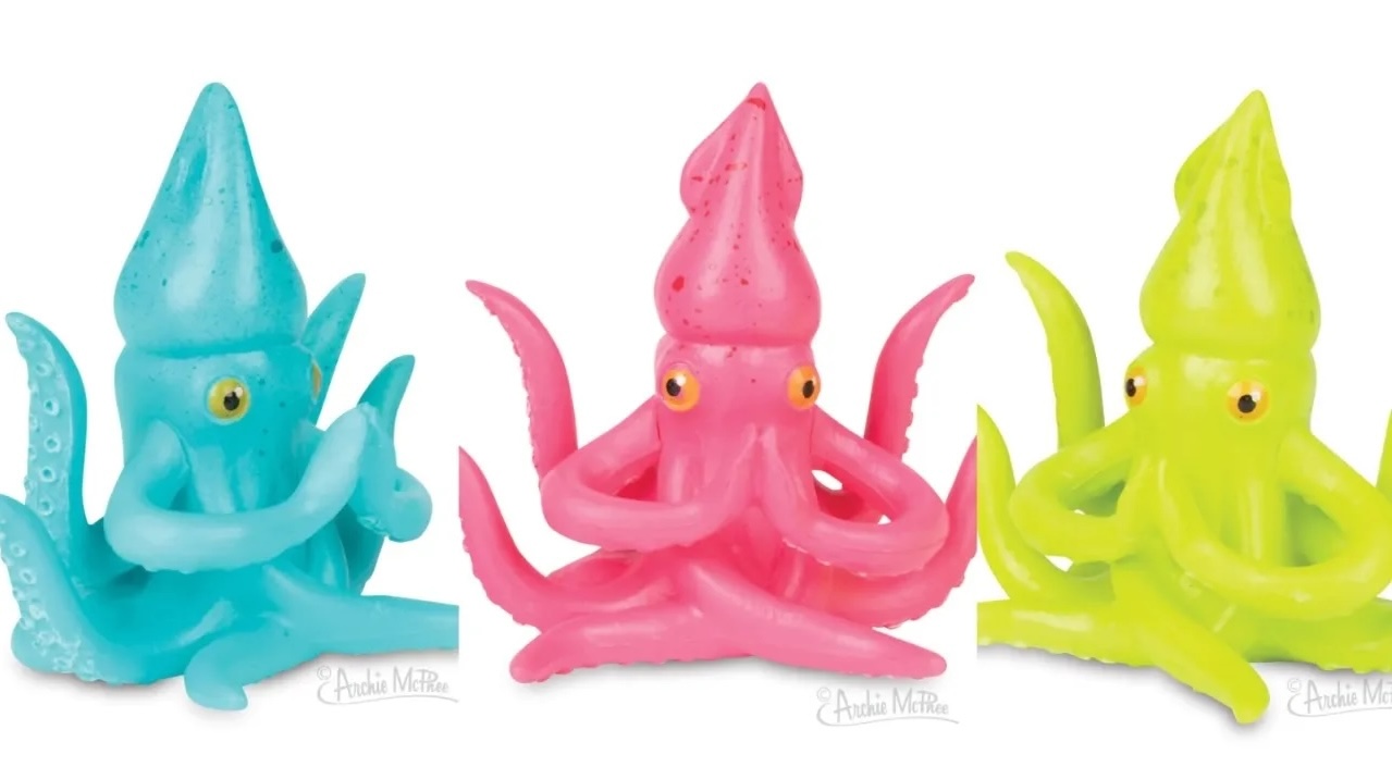 Laughing Squid Photo by Brian McCarty