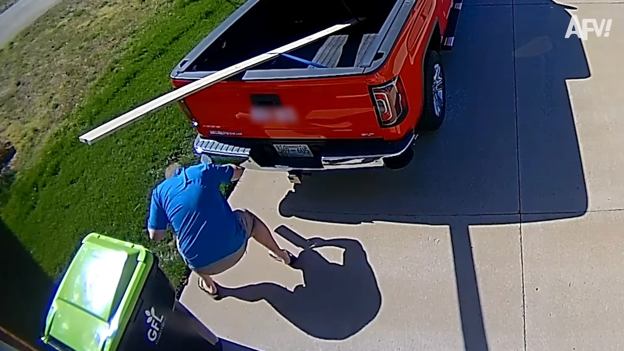 'Stray', A Touching Documentary That Follows Three Different Homeless ...