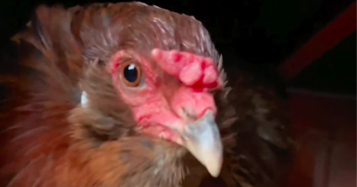 An Explanation of Every Psychological Effect