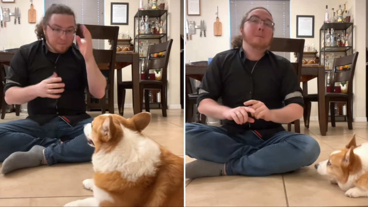 Cookie Monster Learns Self-Control in a 'Sesame Street' Parody of 'The ...