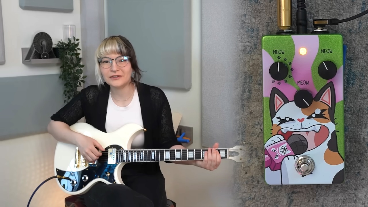 Meowdulator, A Hilarious Cat Guitar Pedal That Meows