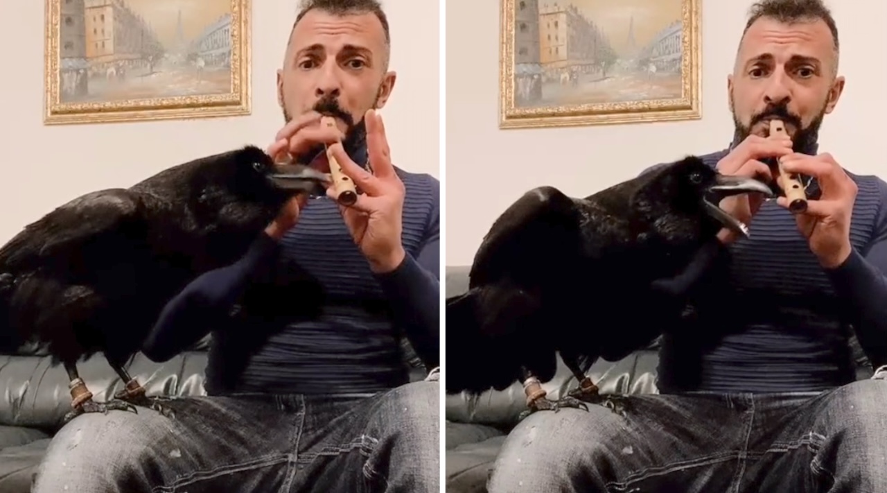 A TED-Ed Animation Explains How Germs Spread and Why They Can Make ...