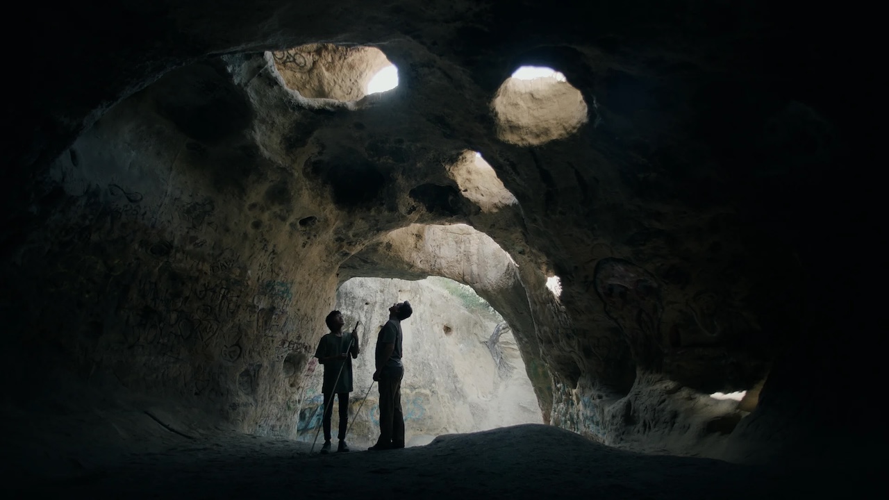 Three Bugs Reveal What Night in the City Looks Like From Their Point of ...