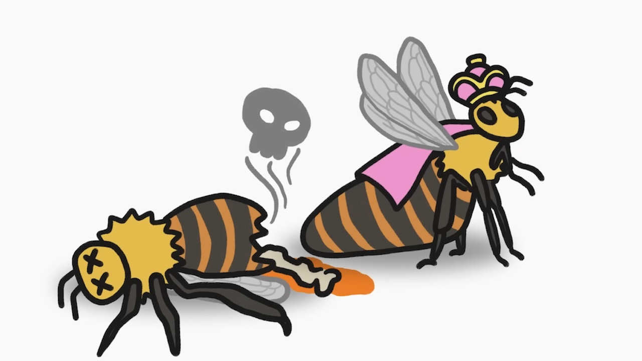 Breaking Bad: The Complete Series, A Collector's Edition Blu-ray Box ...