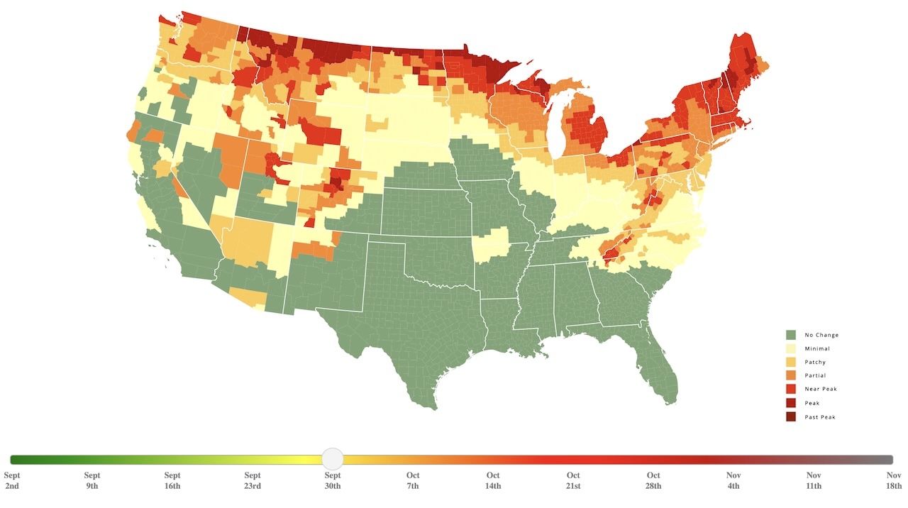 An Interactive Map That Predicts the Fall Foliage Across the United ...