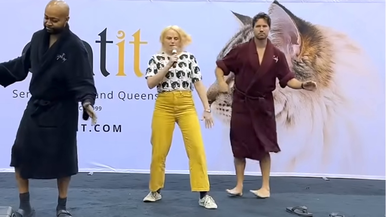 The World's Largest Lolcat, An Invisible Bike Mural