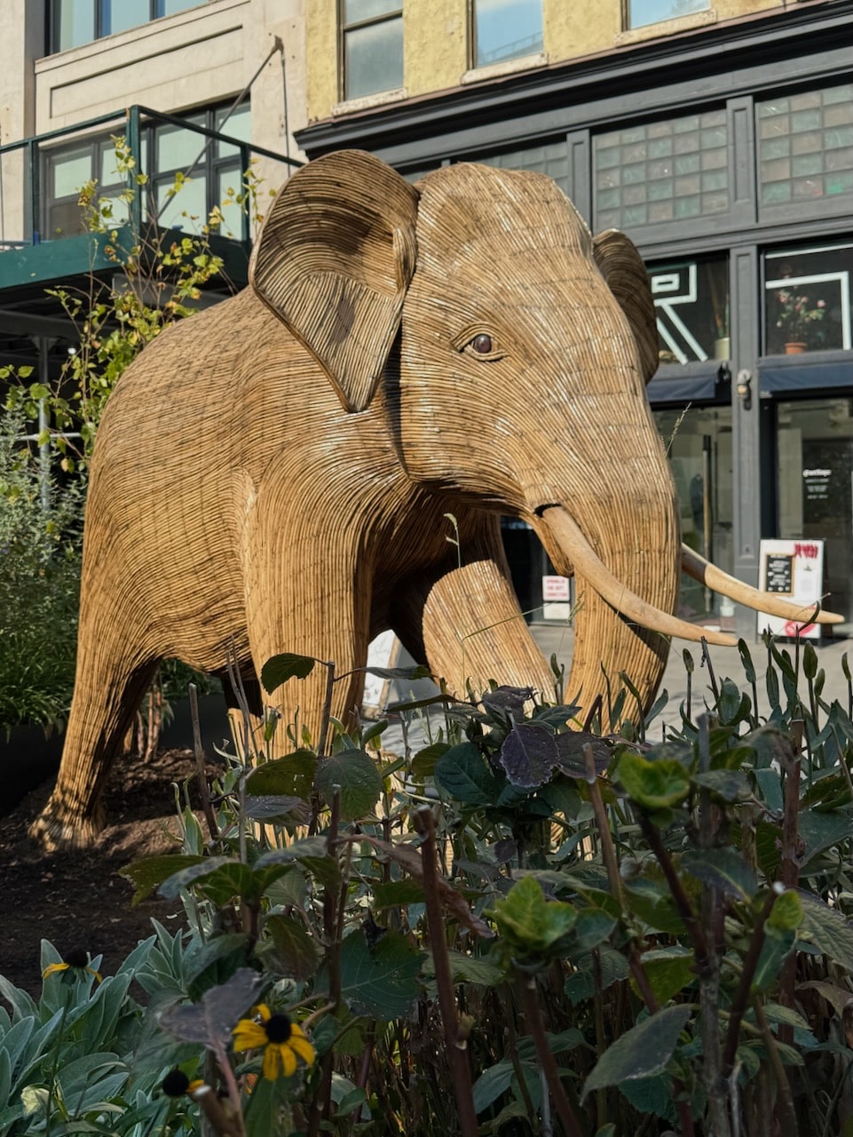 100 Majestic Elephant Sculptures Migrate Around the United States to ...