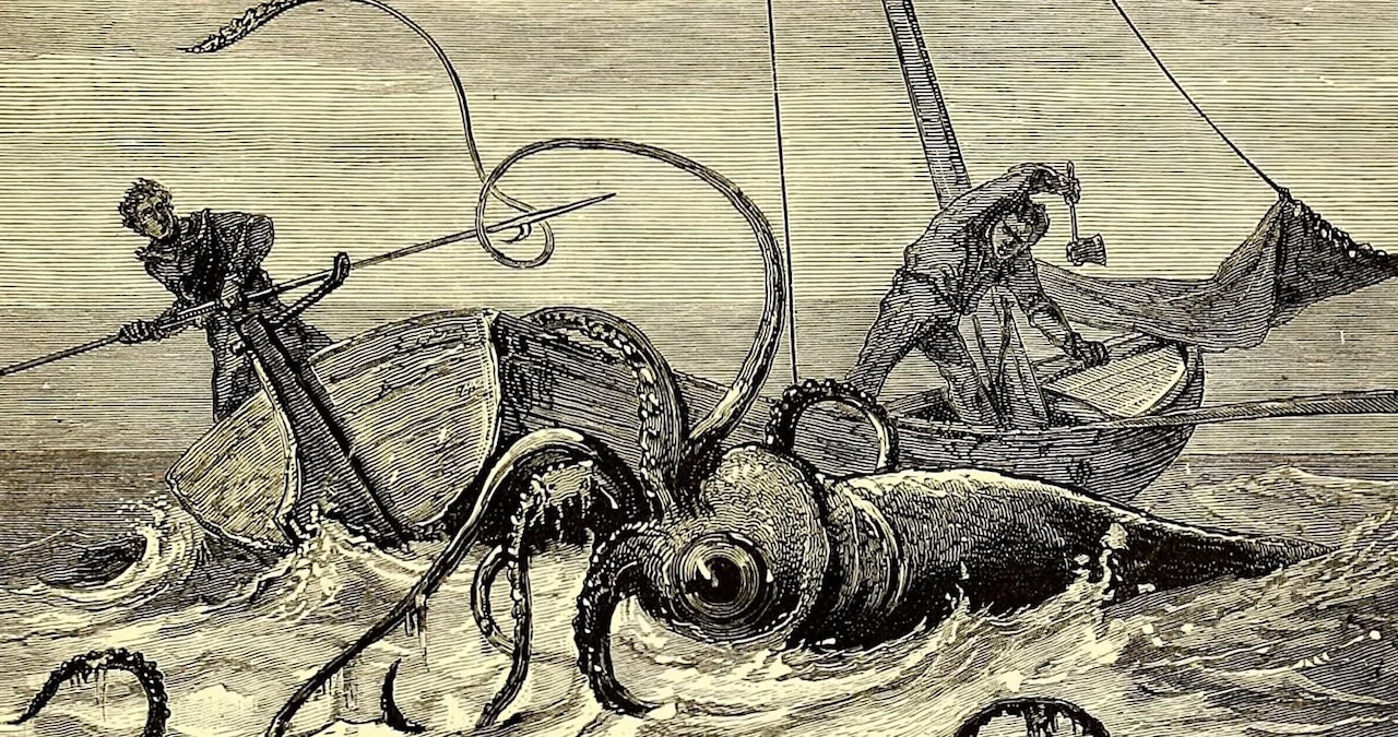 The Elusive Yet Terrifying Beauty of Giant Squids