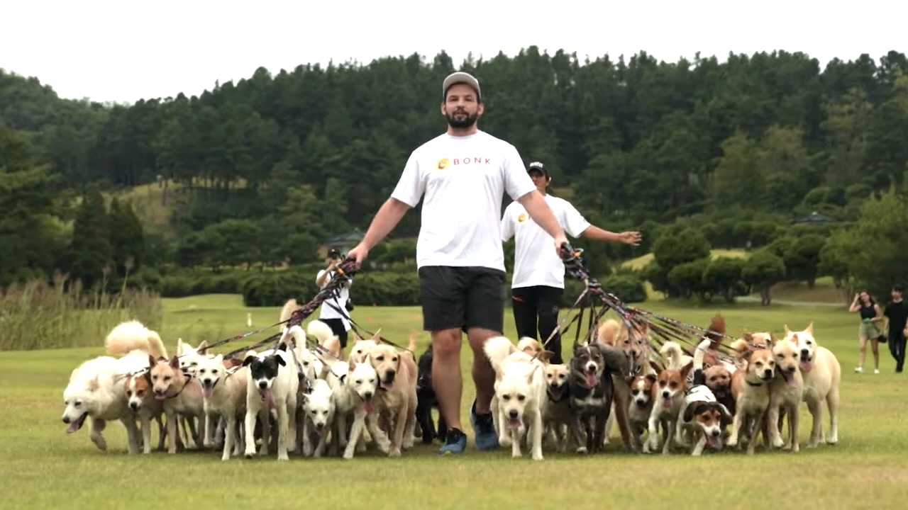 Canadian Man Sets New Guinness World Record For Most Dogs Walked at Once