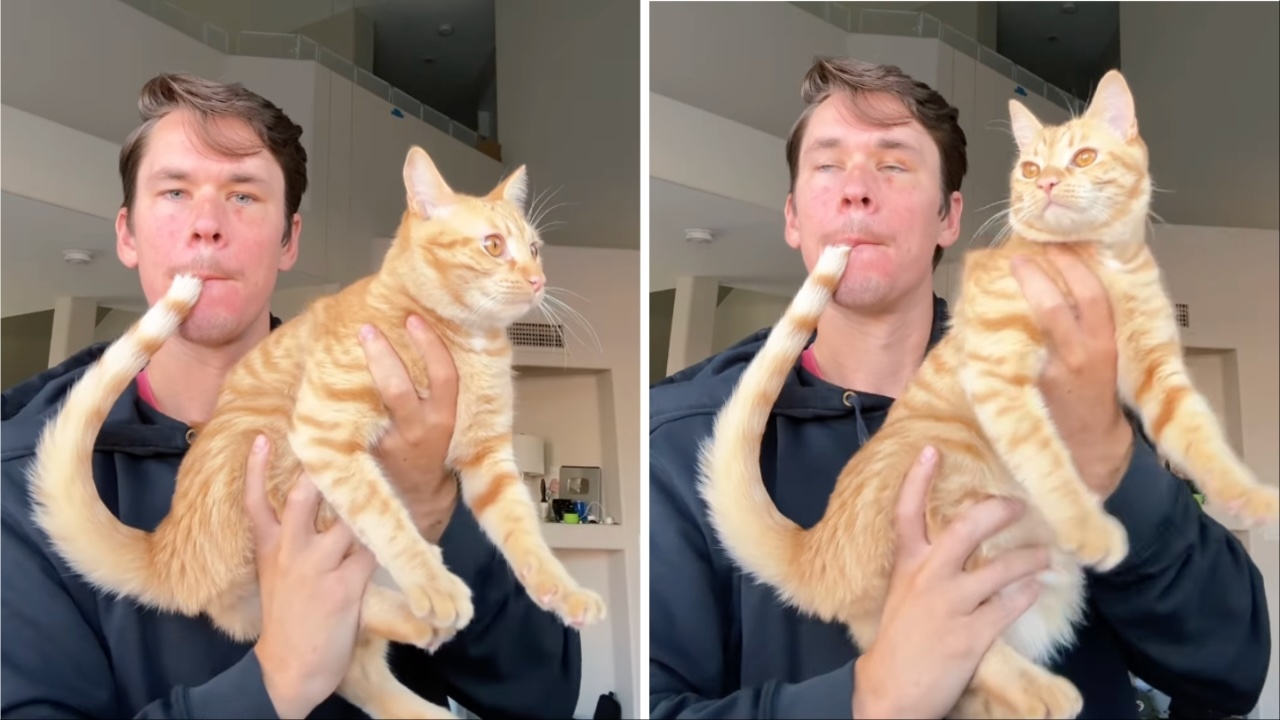 A Hilarious Hand-Knit Distressed Sweater That Reflects the Reality of ...