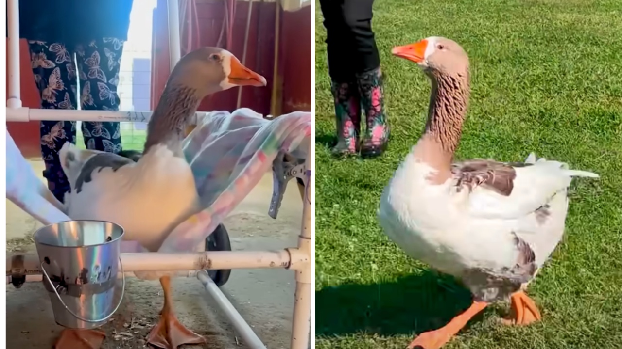 The Surprising Origins of the Countdown to Launch